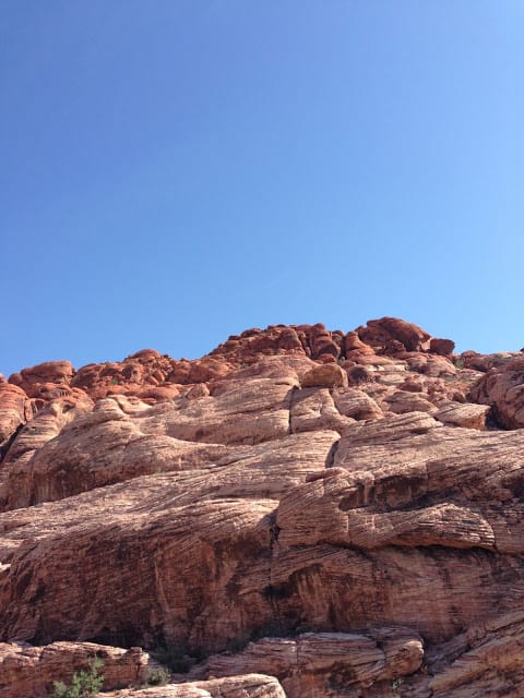 Super Fun Things to Do In Las Vegas With the Kiddos - This Bliss Life